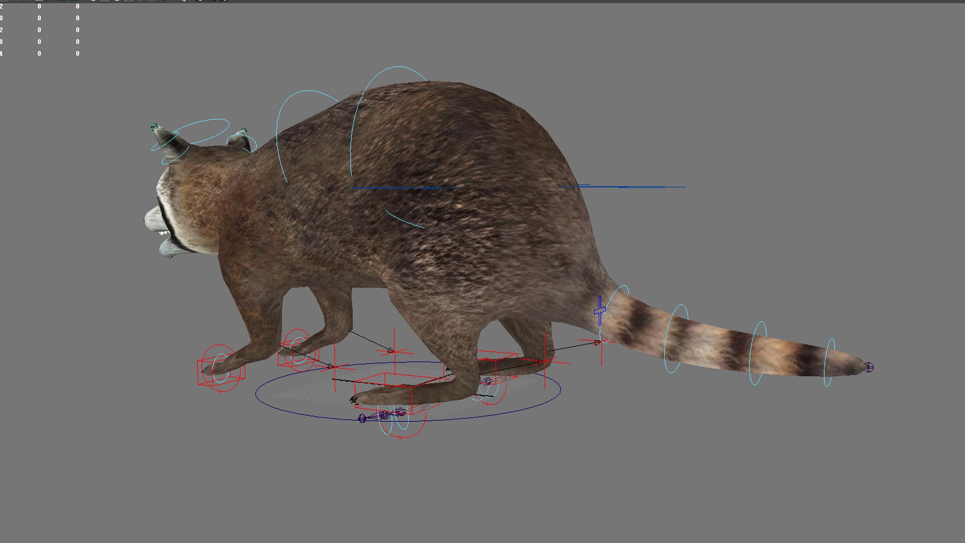 3D Raccoon Racoon Animal Rodent Mammal Coon Forest Animal Model ...