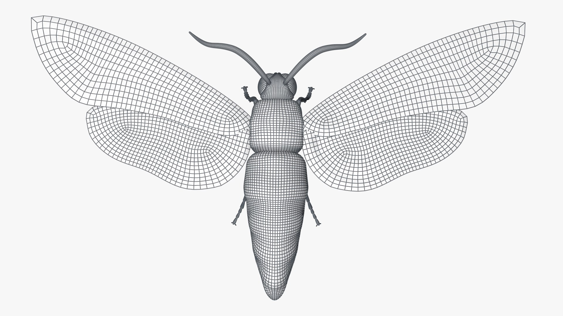 3D MOTH Model - TurboSquid 1880156