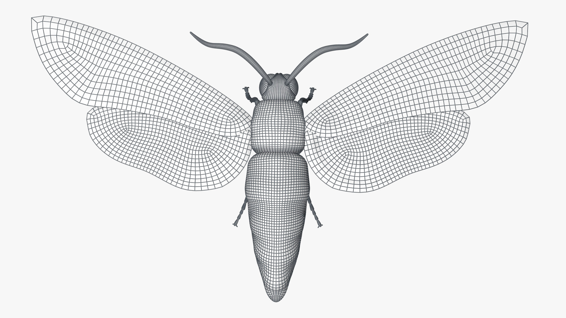 3D MOTH model - TurboSquid 1880156