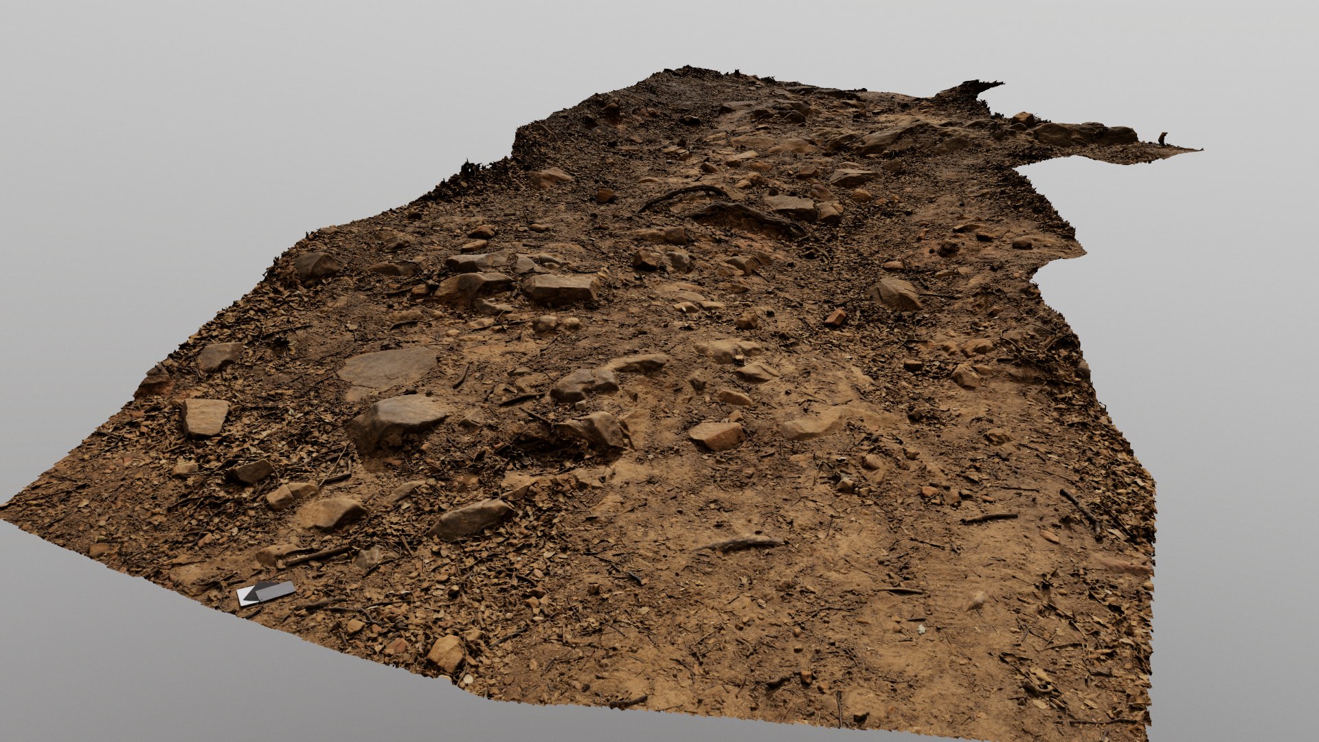 3D Forest Path - TurboSquid 1969343