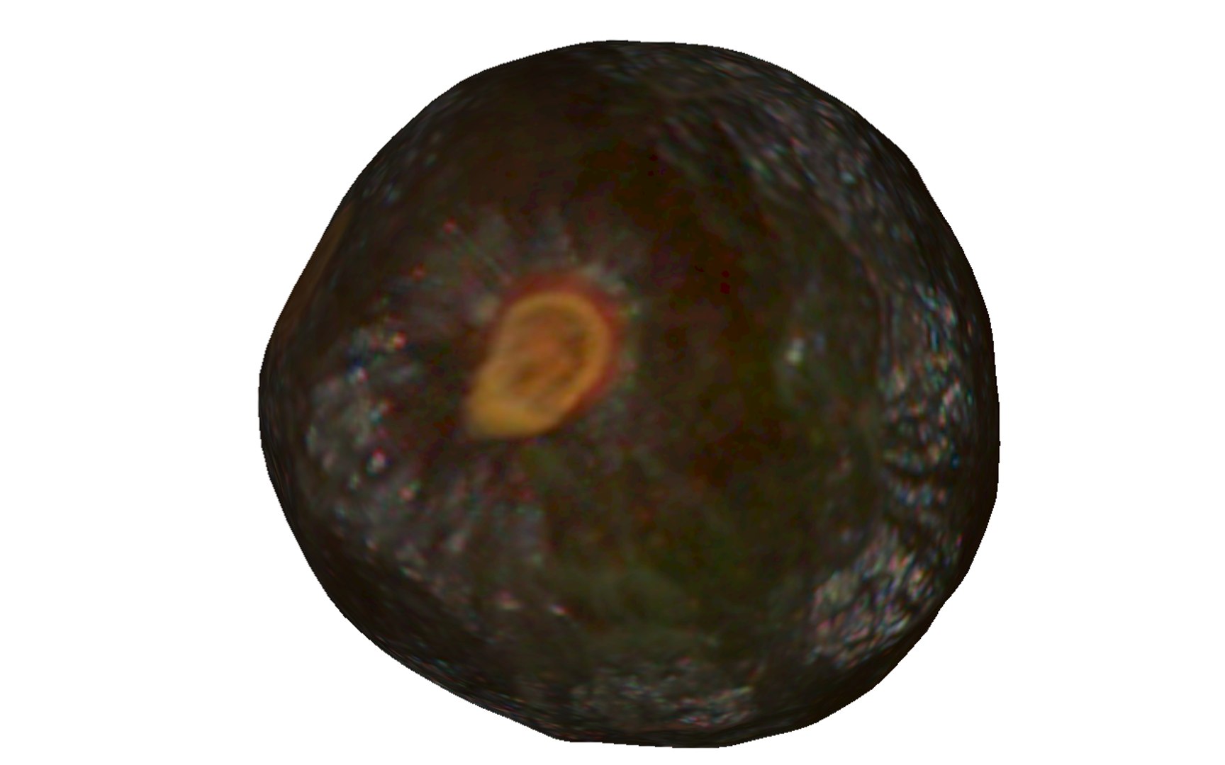 3D Model Avocado Scan Real - TurboSquid 1636689