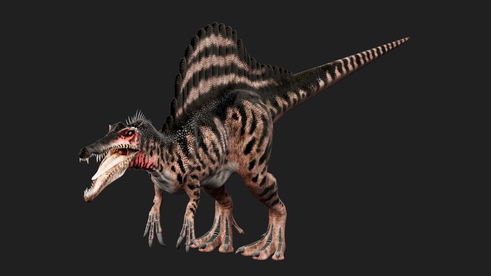 Spinosaurus 3D Model - TurboSquid 2278422