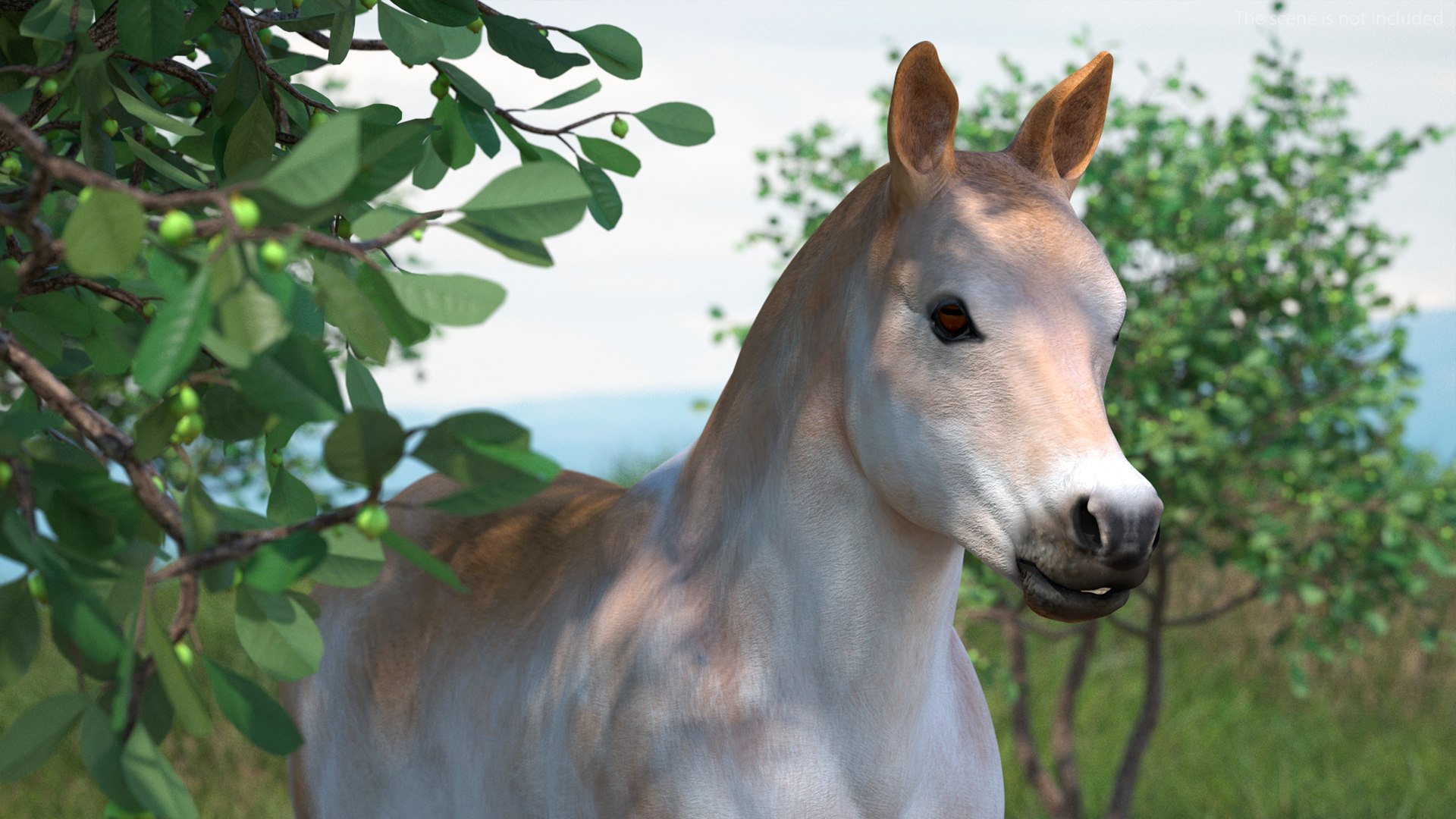 3D Realistic Shetland Pony - TurboSquid 2239776
