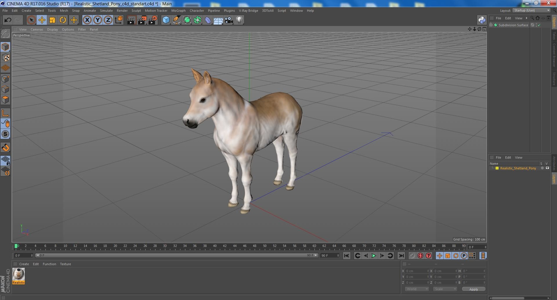 3D Realistic Shetland Pony - TurboSquid 2239776