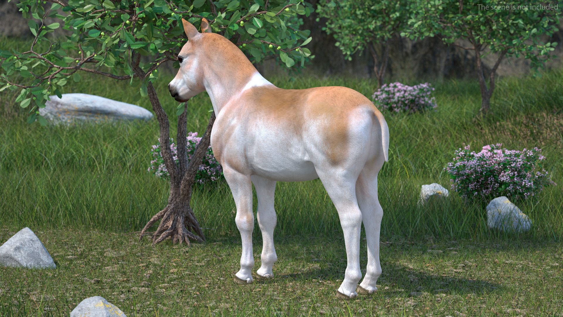 3D Realistic Shetland Pony - TurboSquid 2239776