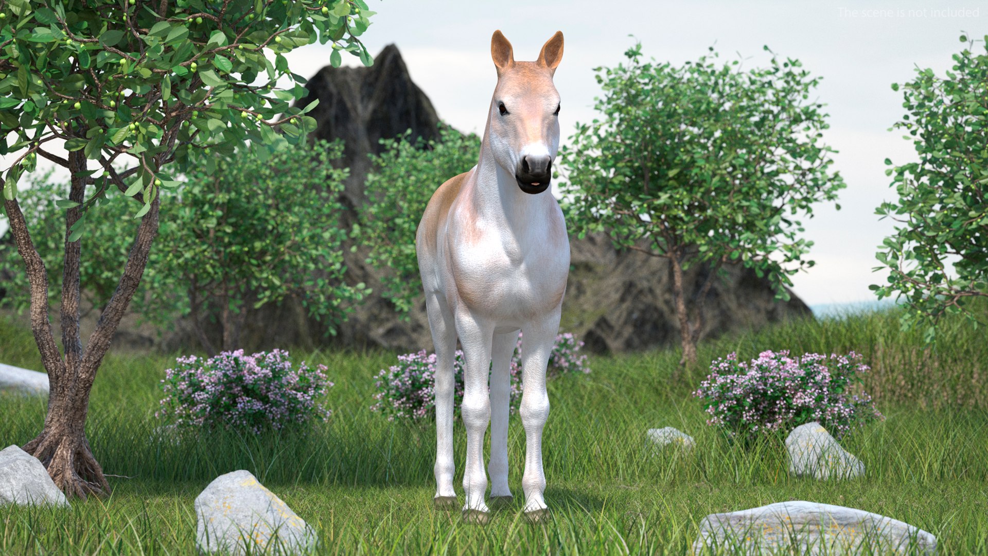 3D Realistic Shetland Pony - TurboSquid 2239776