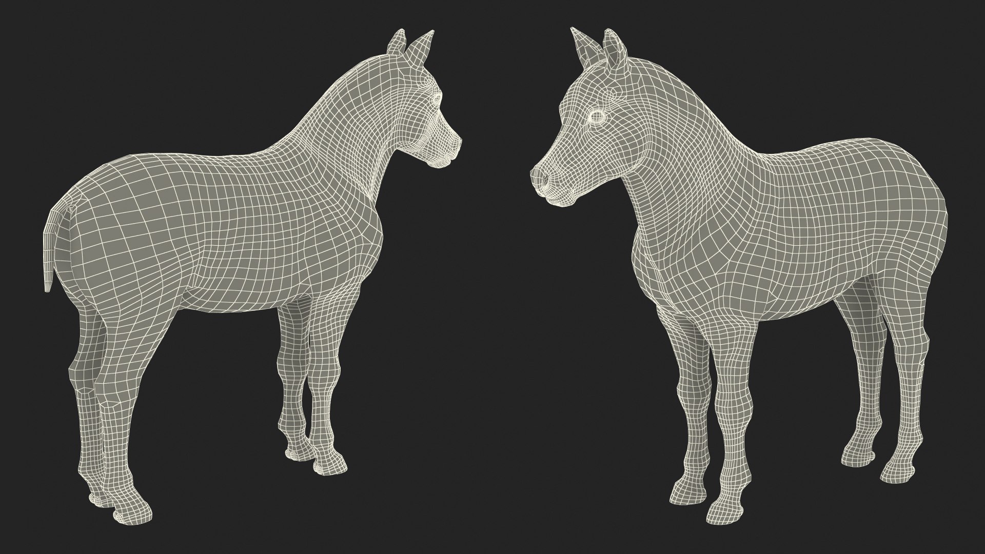 3D Realistic Shetland Pony - TurboSquid 2239776