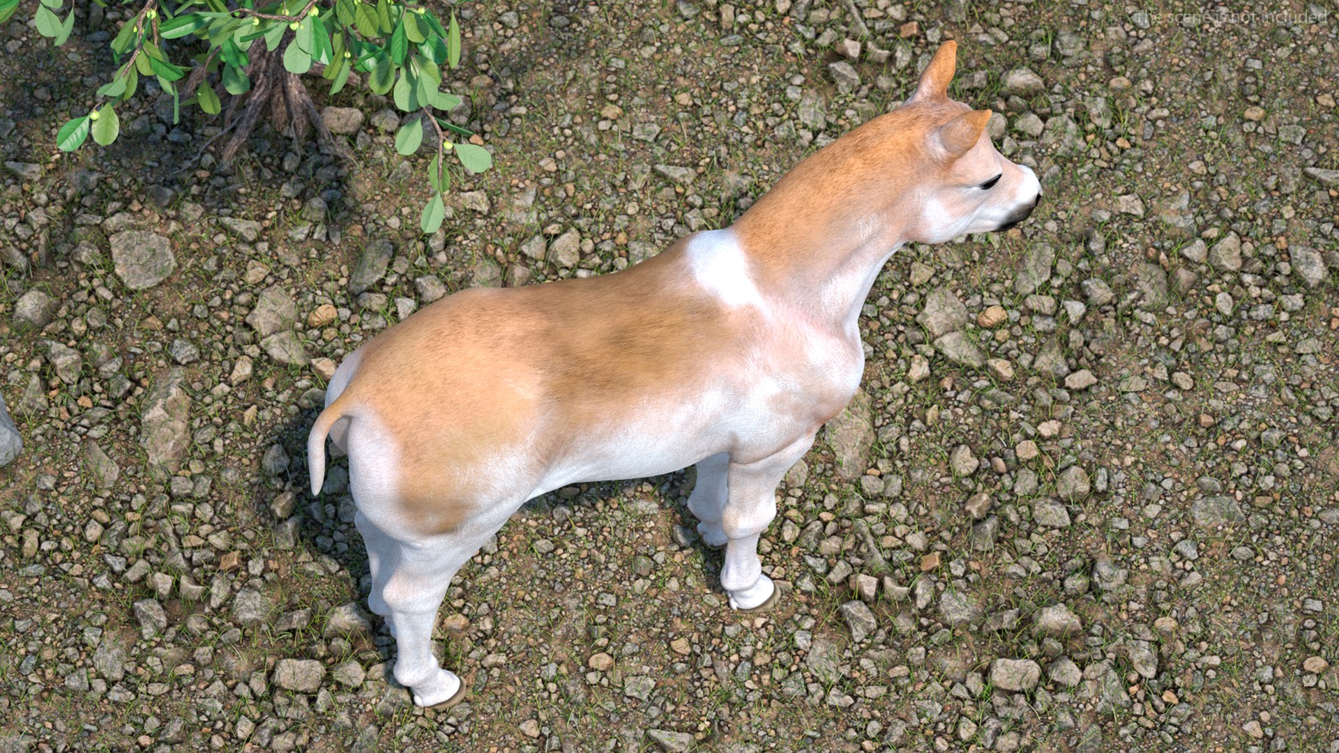 3D Realistic Shetland Pony - TurboSquid 2239776