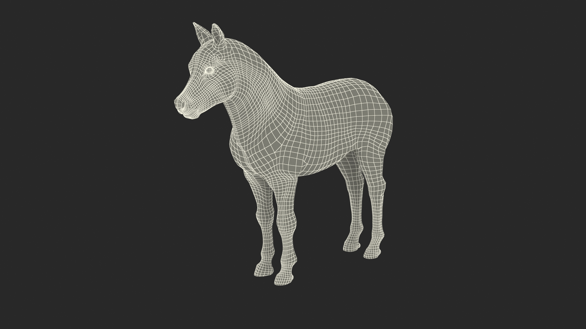 3D Realistic Shetland Pony - TurboSquid 2239776