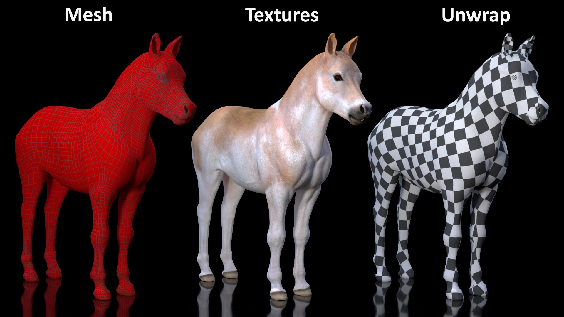 3D Realistic Shetland Pony - TurboSquid 2239776