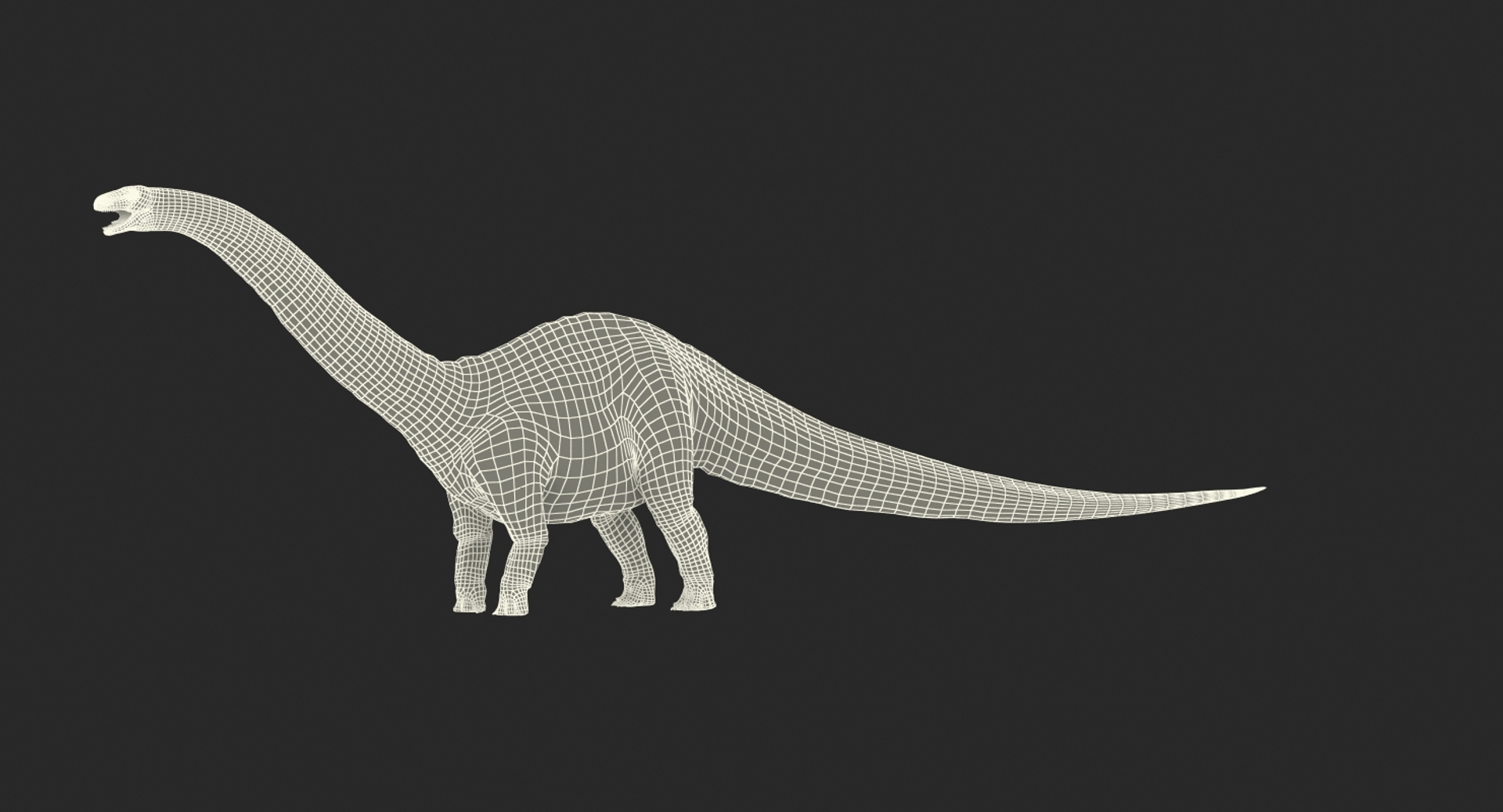 Apatosaurus Skeleton Model