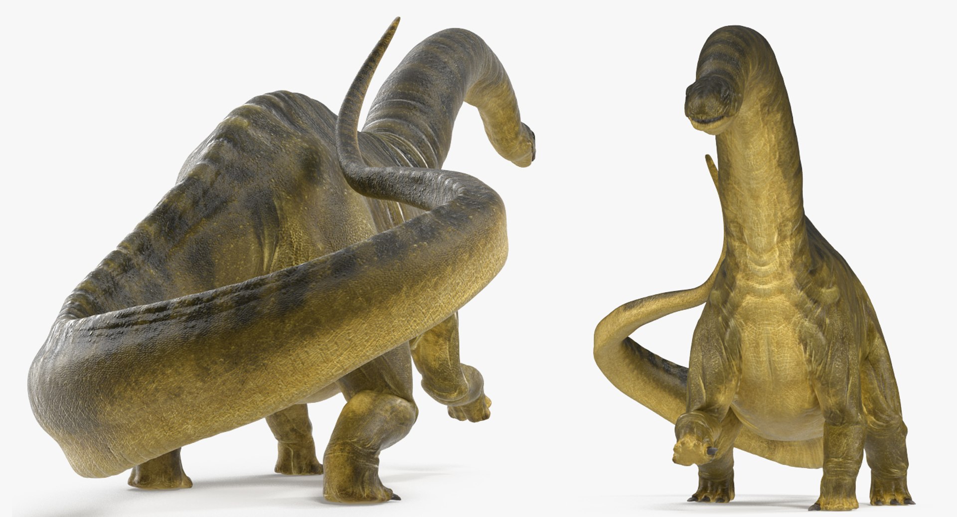 3d apatosaurus dinosaur rigged model