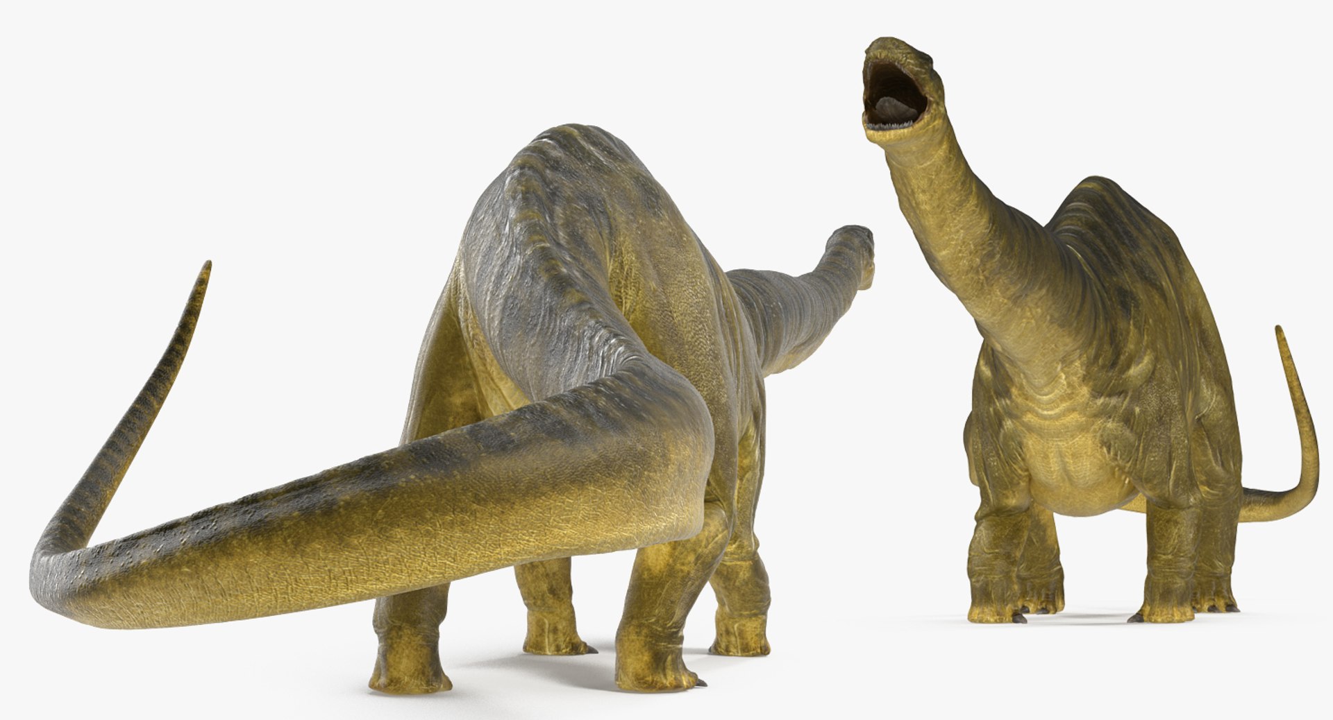 3d apatosaurus dinosaur rigged model