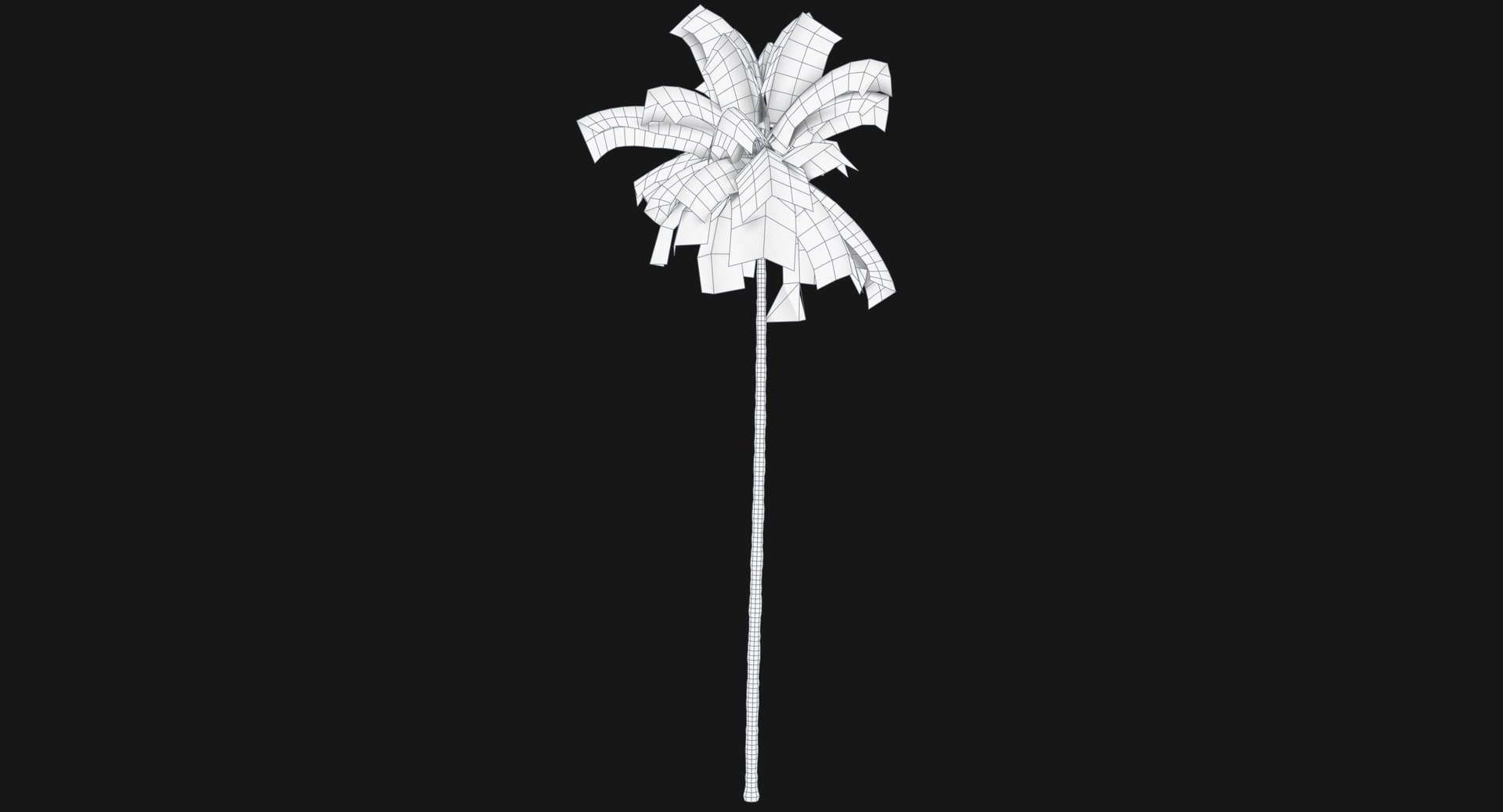 3D Cocos Coconut Palm Tree Tropical Model - TurboSquid 1279464