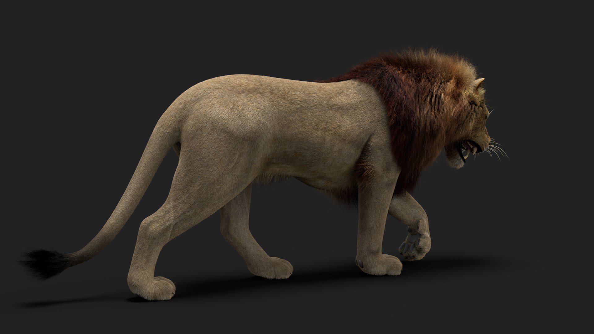 3D model photo realistic lion 3 - TurboSquid 1478791