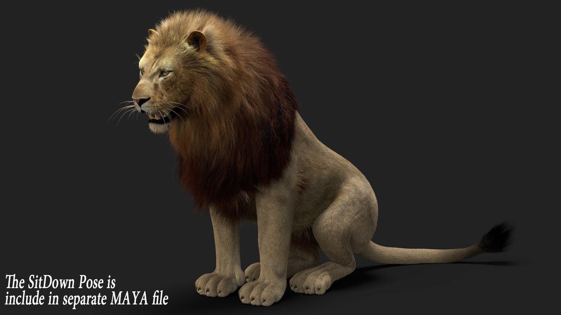 3D model photo realistic lion 3 - TurboSquid 1478791