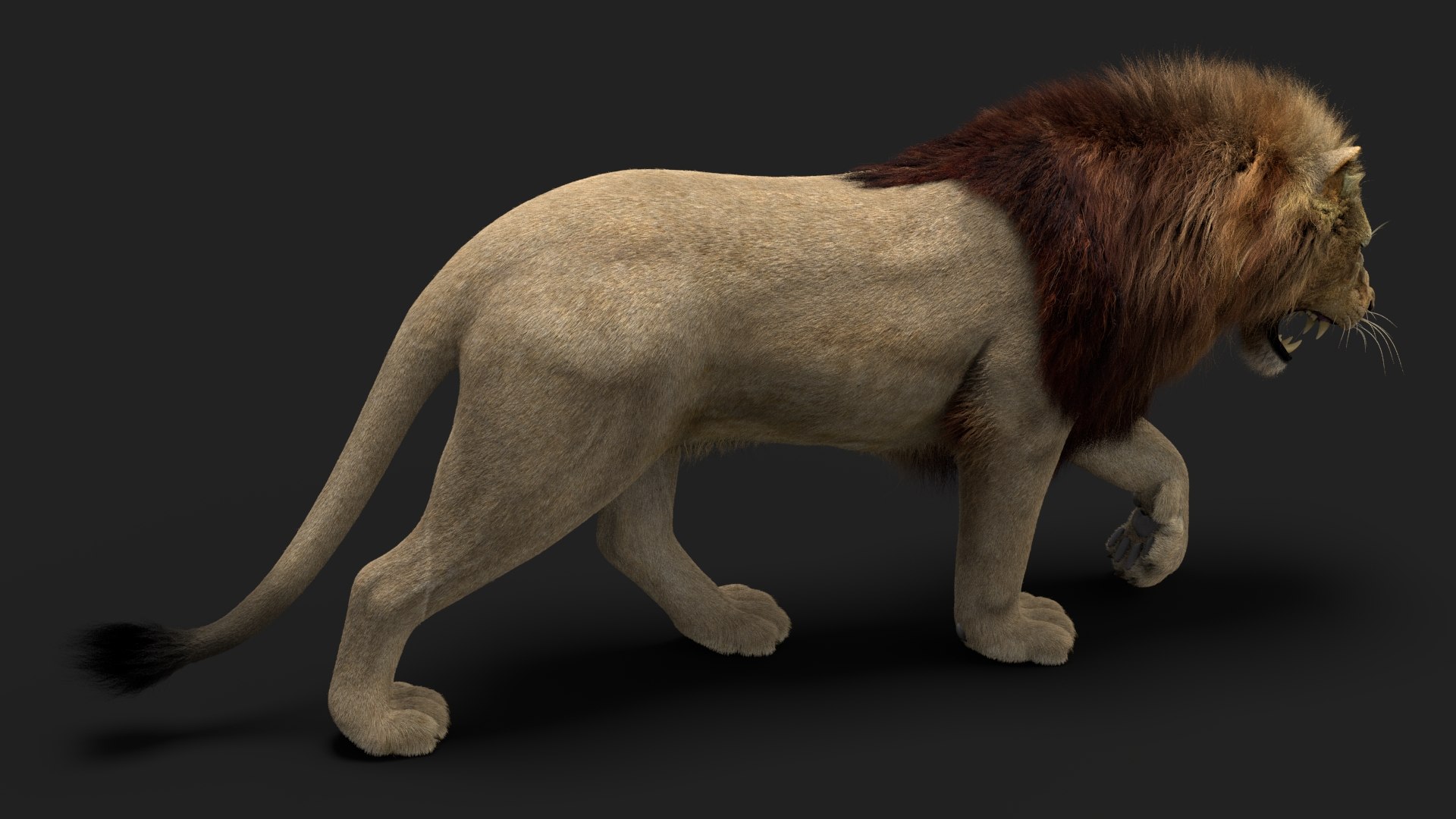 3D model photo realistic lion 3 - TurboSquid 1478791