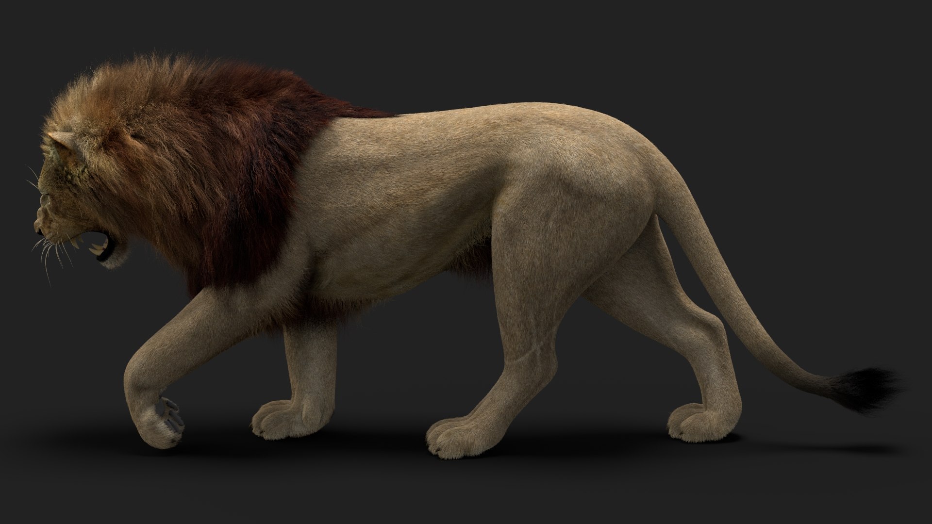 3D model photo realistic lion 3 - TurboSquid 1478791