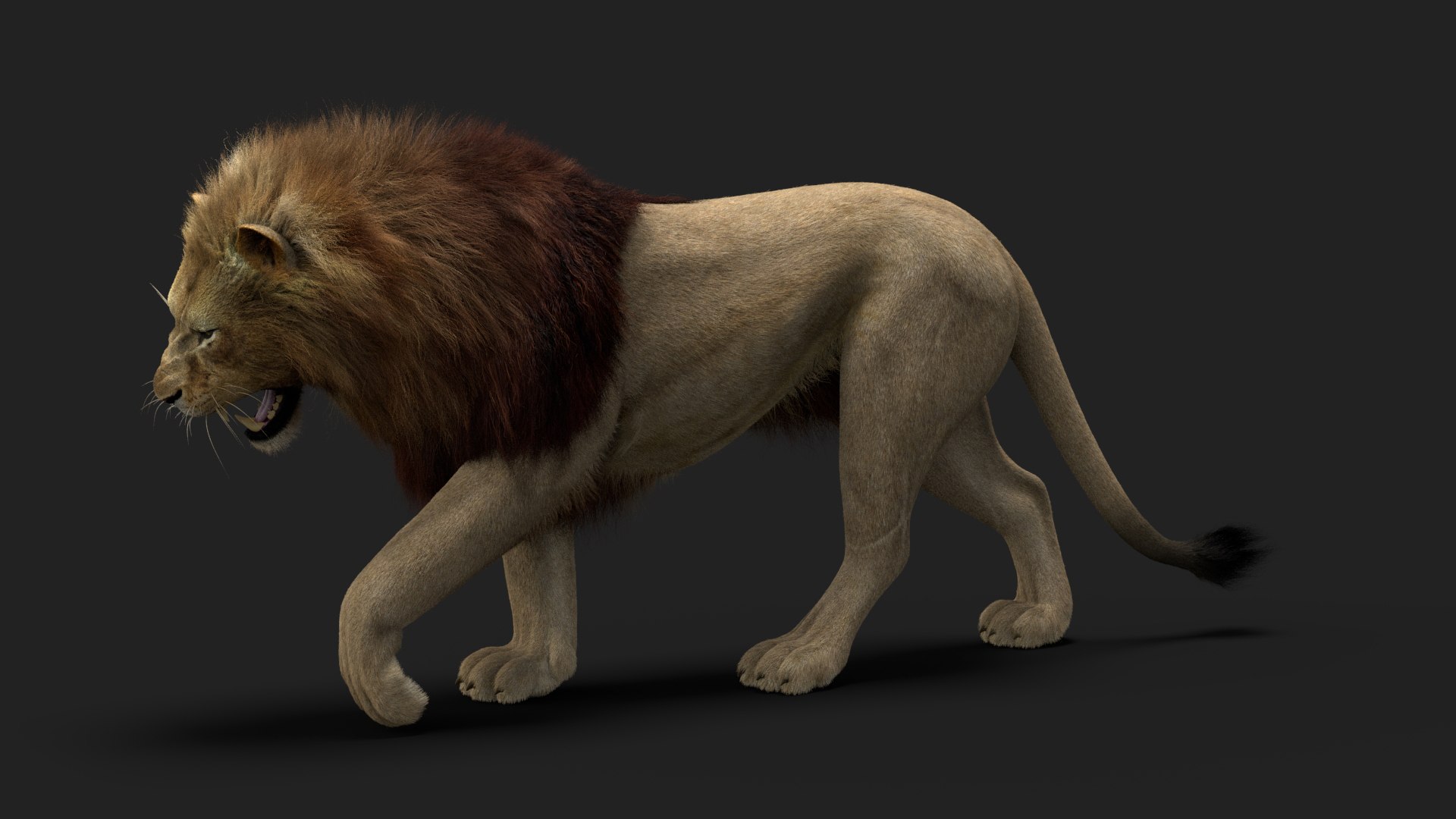 3D model photo realistic lion 3 - TurboSquid 1478791