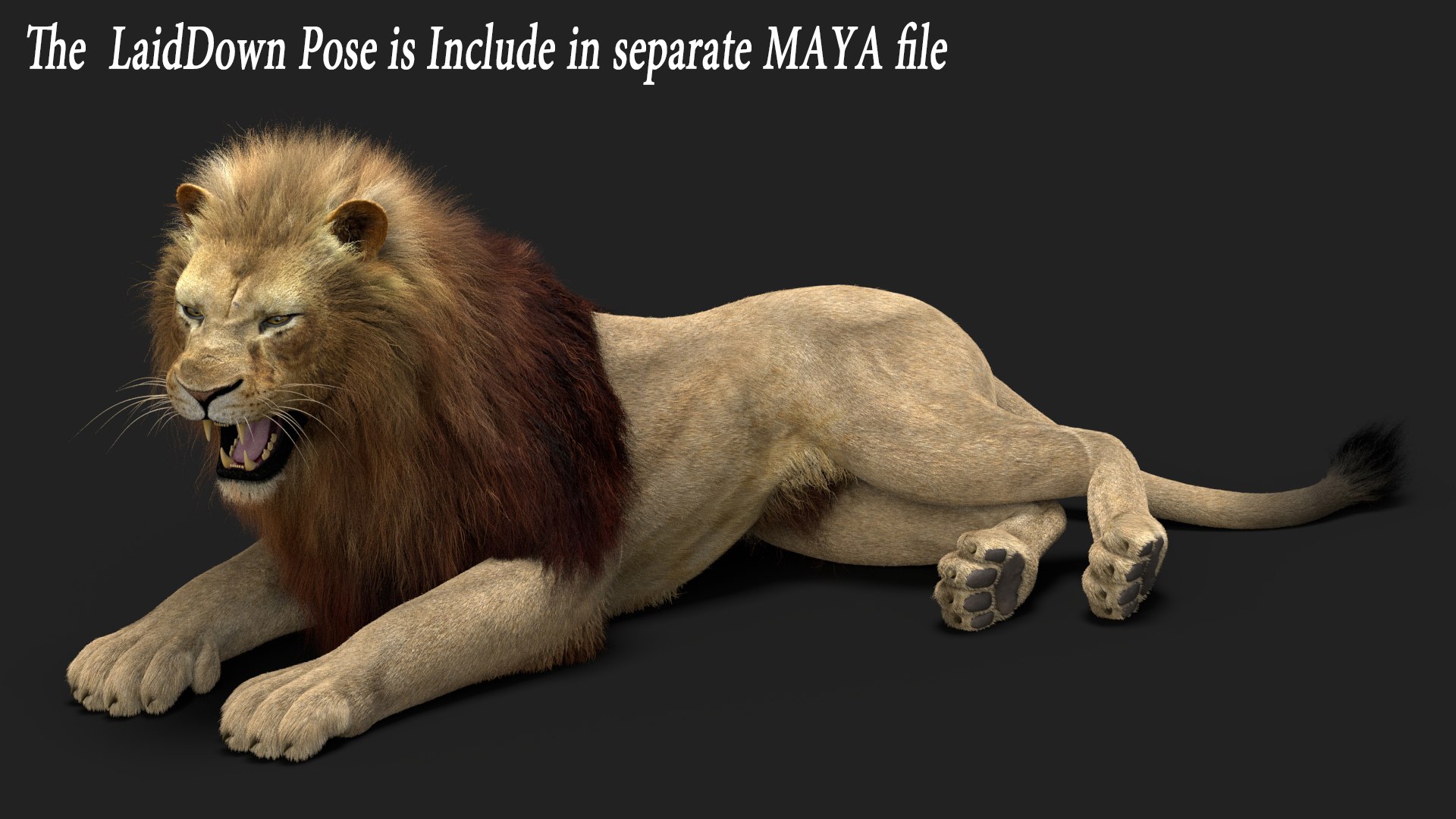 3D model photo realistic lion 3 - TurboSquid 1478791