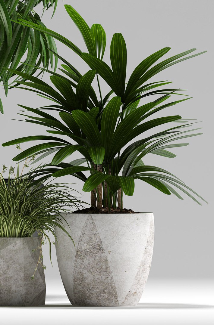 3D plants set 134 - TurboSquid 1215573