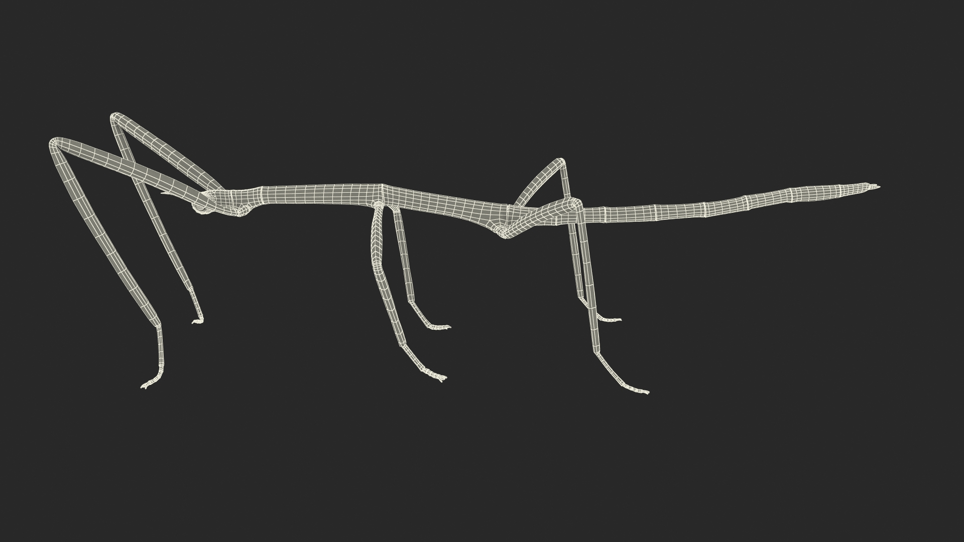 3D Stick Insect Brown Rigged - TurboSquid 1520341