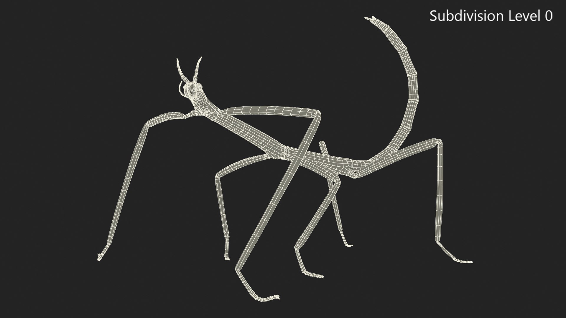3D Stick Insect Brown Rigged - TurboSquid 1520341