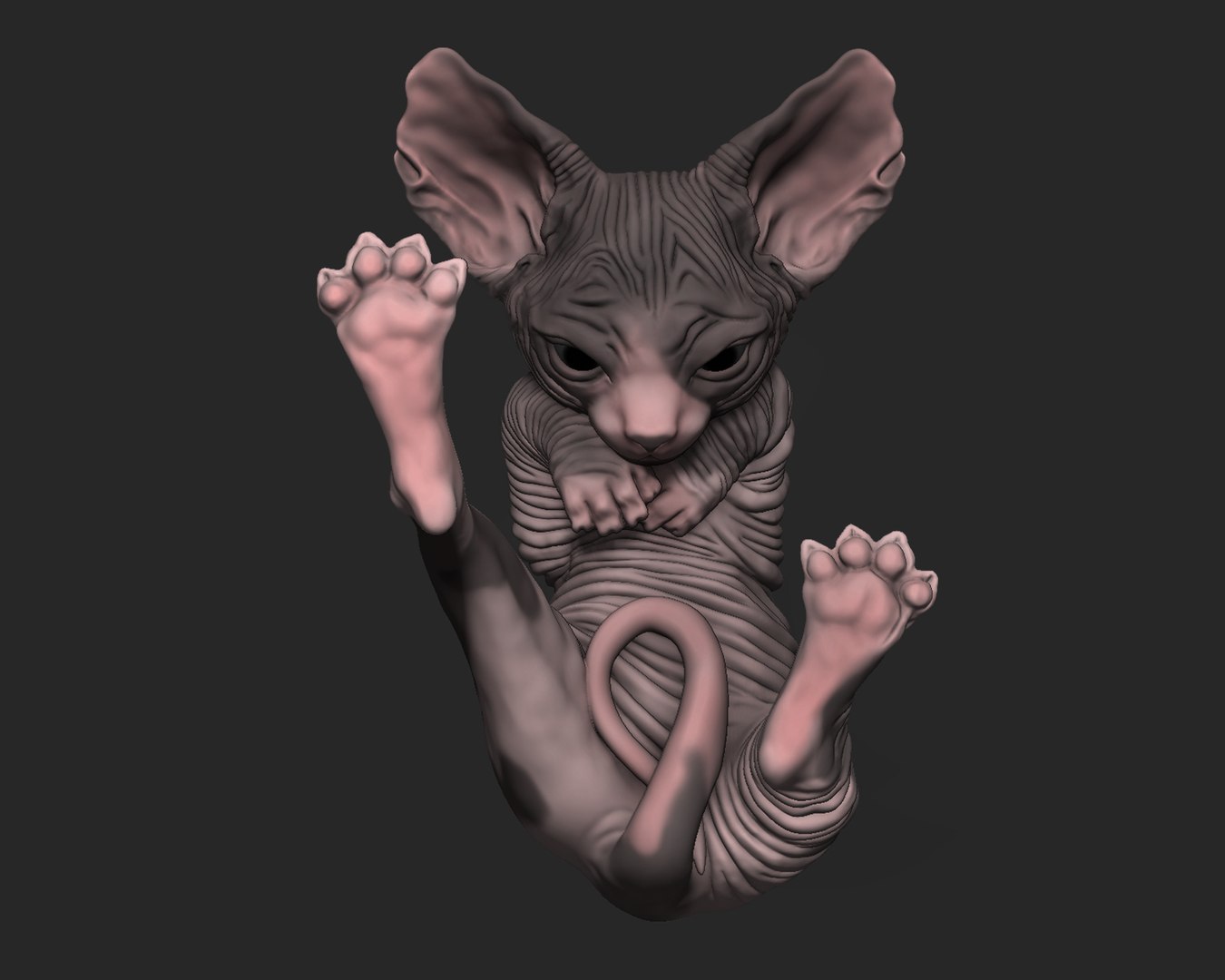 3D Model Baby Sphynx Cat 3D Print Model - TurboSquid 2396565