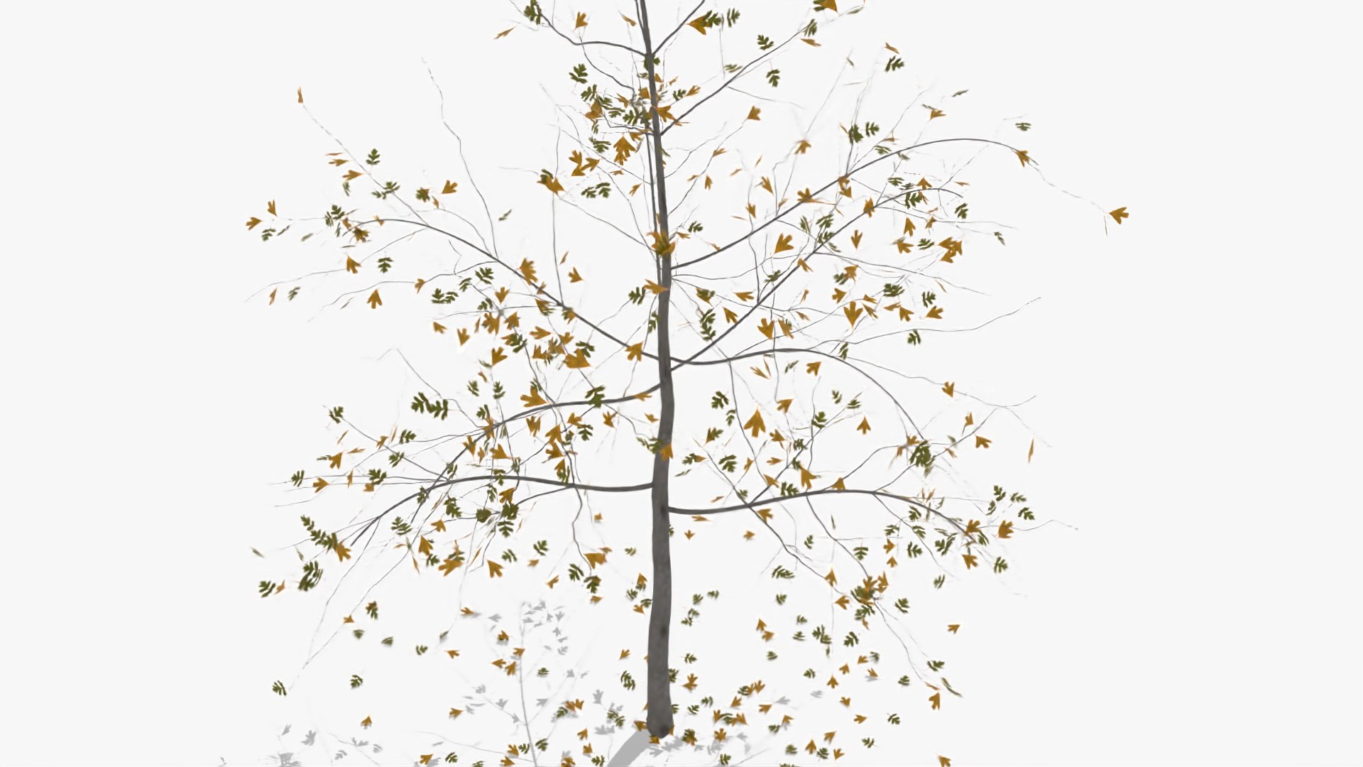 3D hawthorn autumn hight model - TurboSquid 1628816