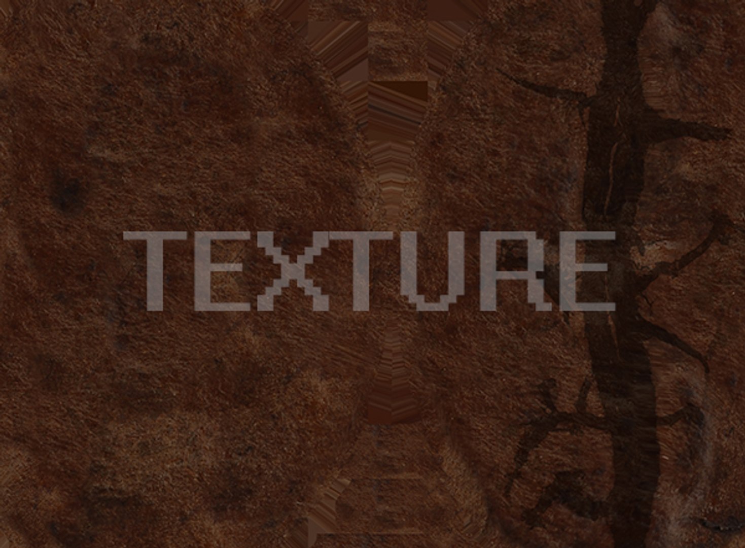 3d Model Coffee Bean