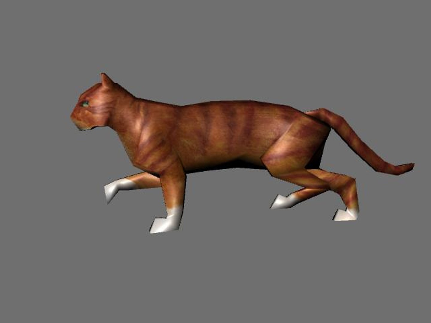 Cat 3d Max