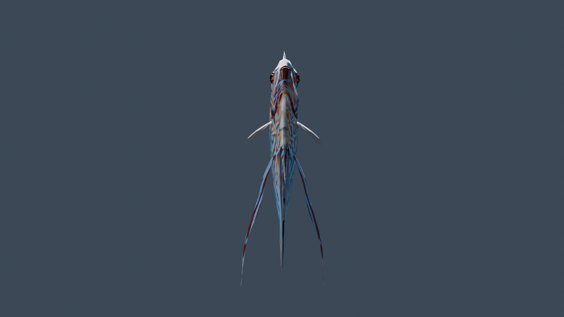 3D Discus Turquaz - TurboSquid 2222465