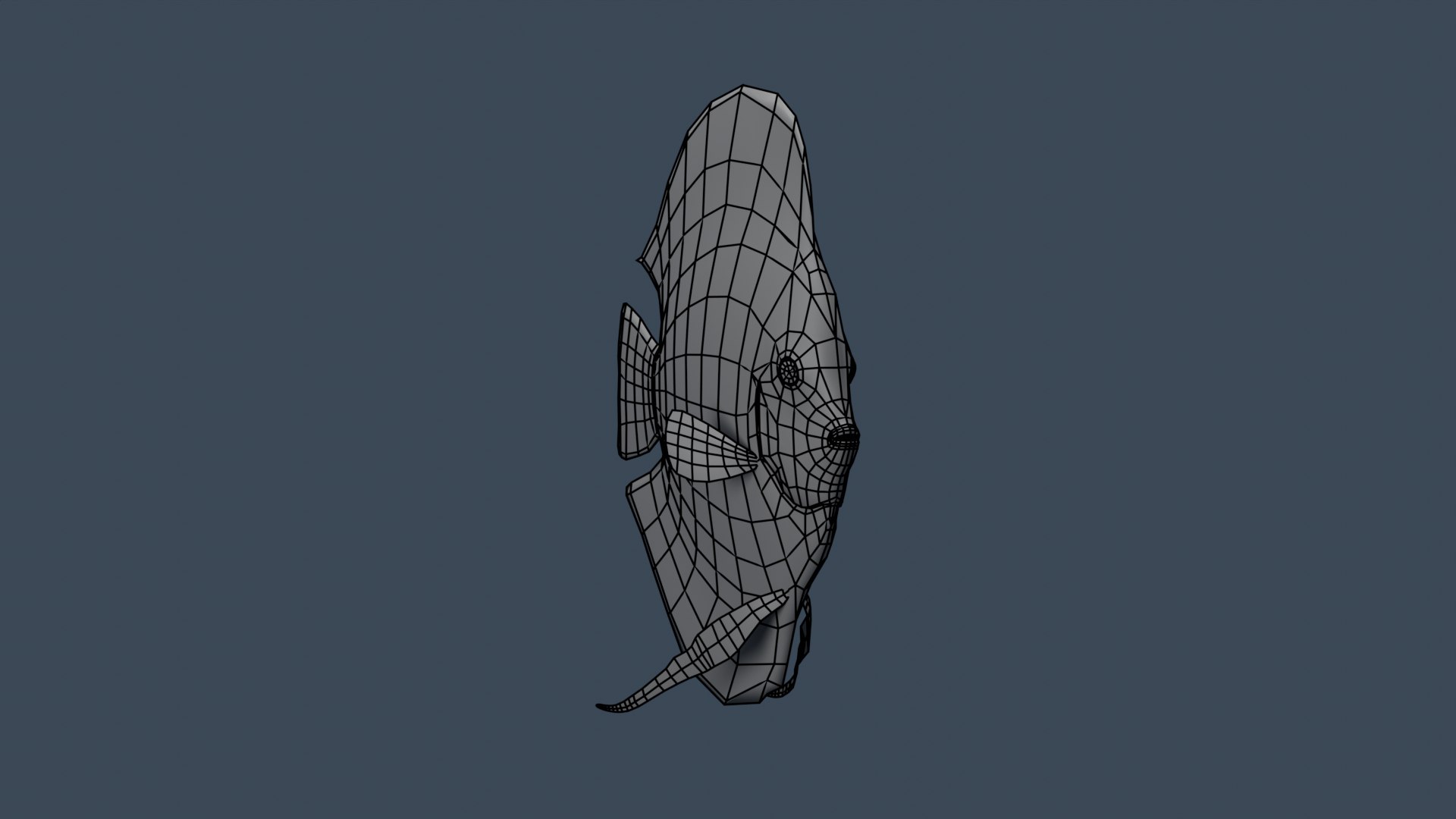 3D Discus Turquaz - TurboSquid 2222465
