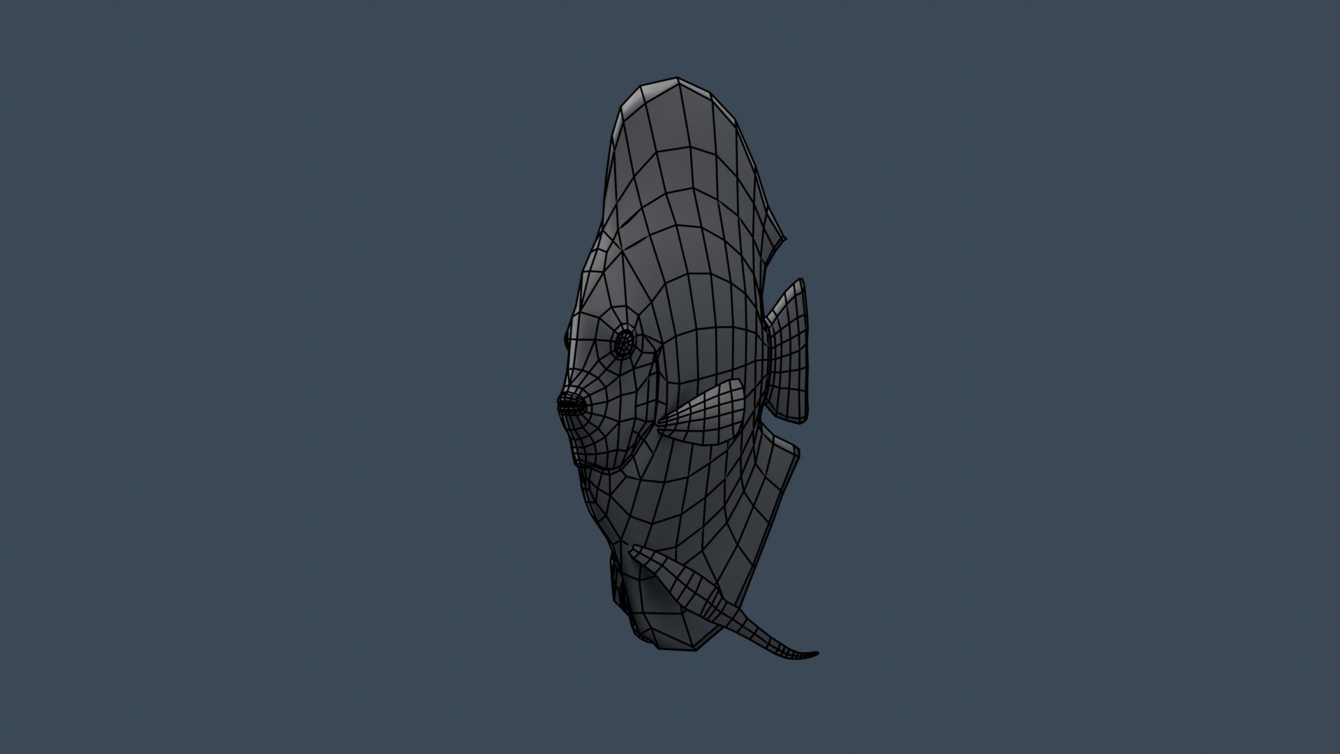 3D Discus Turquaz - TurboSquid 2222465