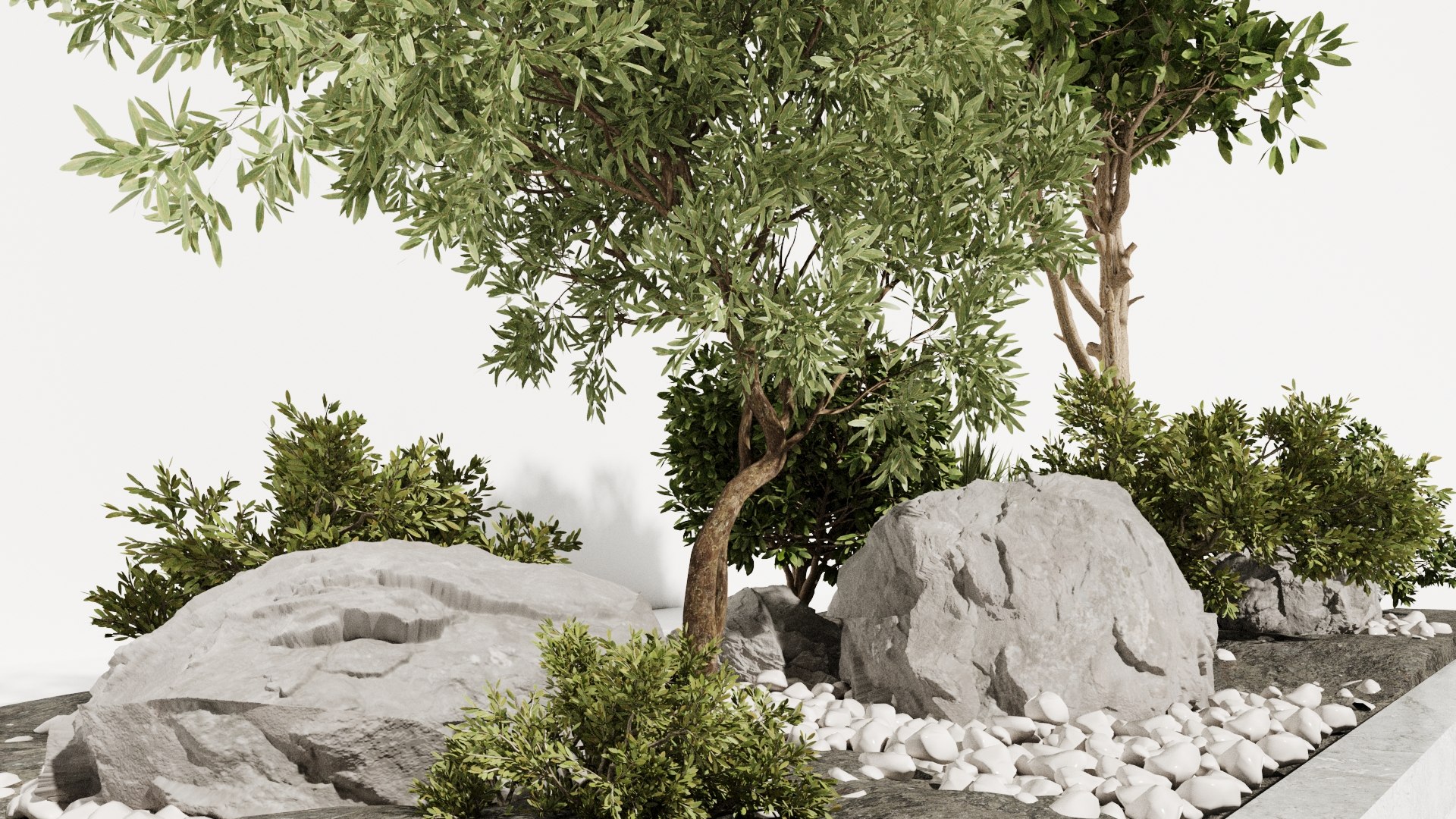 Plant Garden Model - TurboSquid 2108030