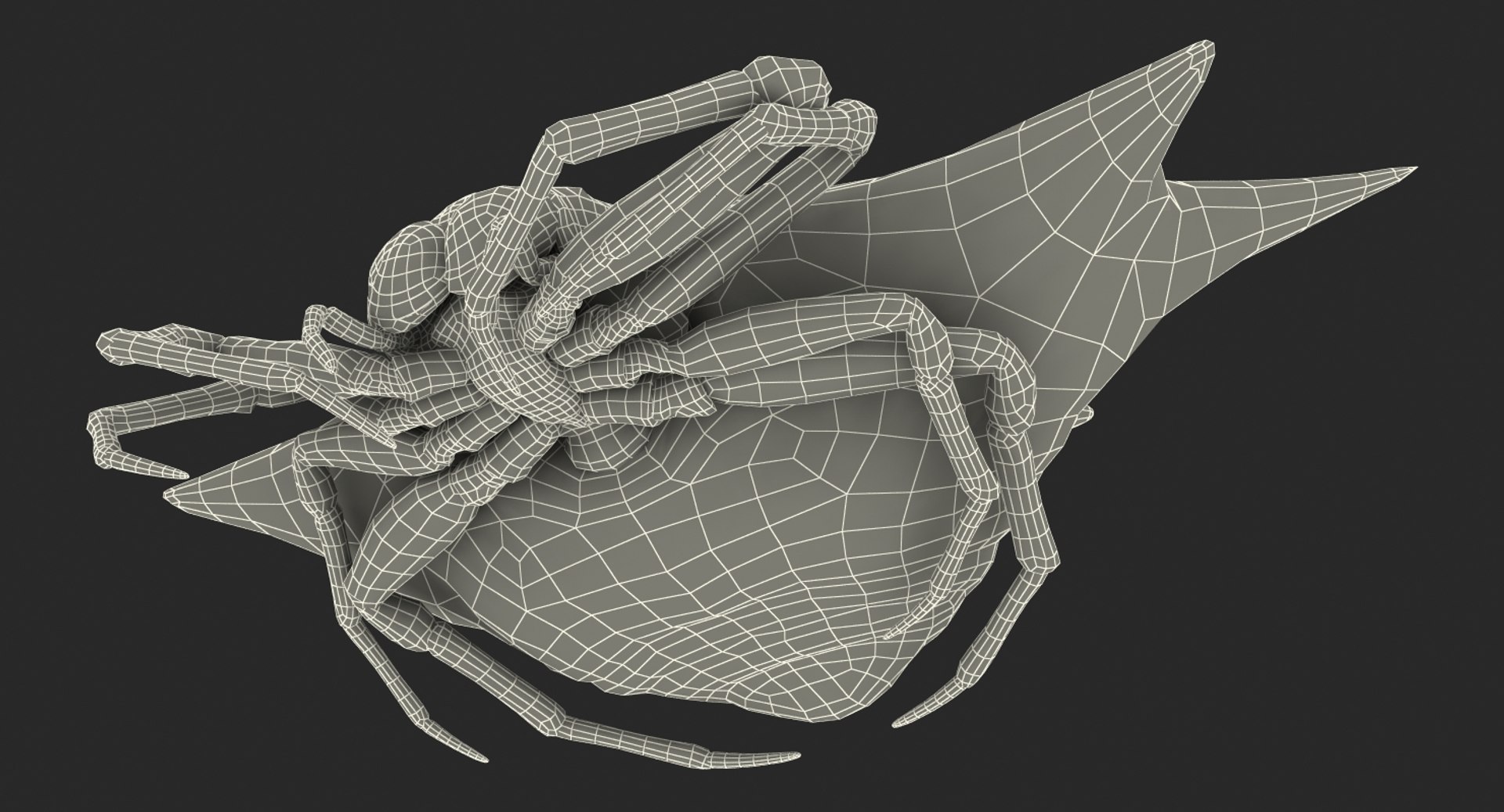 3D Gasteracantha Spider Fur - TurboSquid 1168001