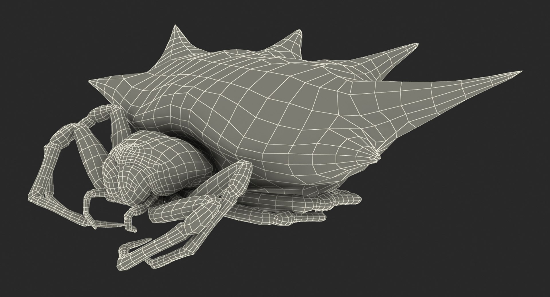 3D Gasteracantha Spider Fur - TurboSquid 1168001