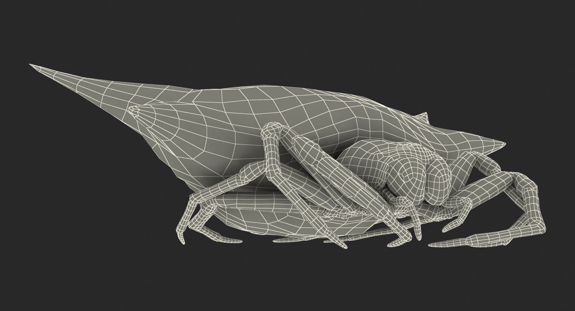 3D Gasteracantha Spider Fur - TurboSquid 1168001