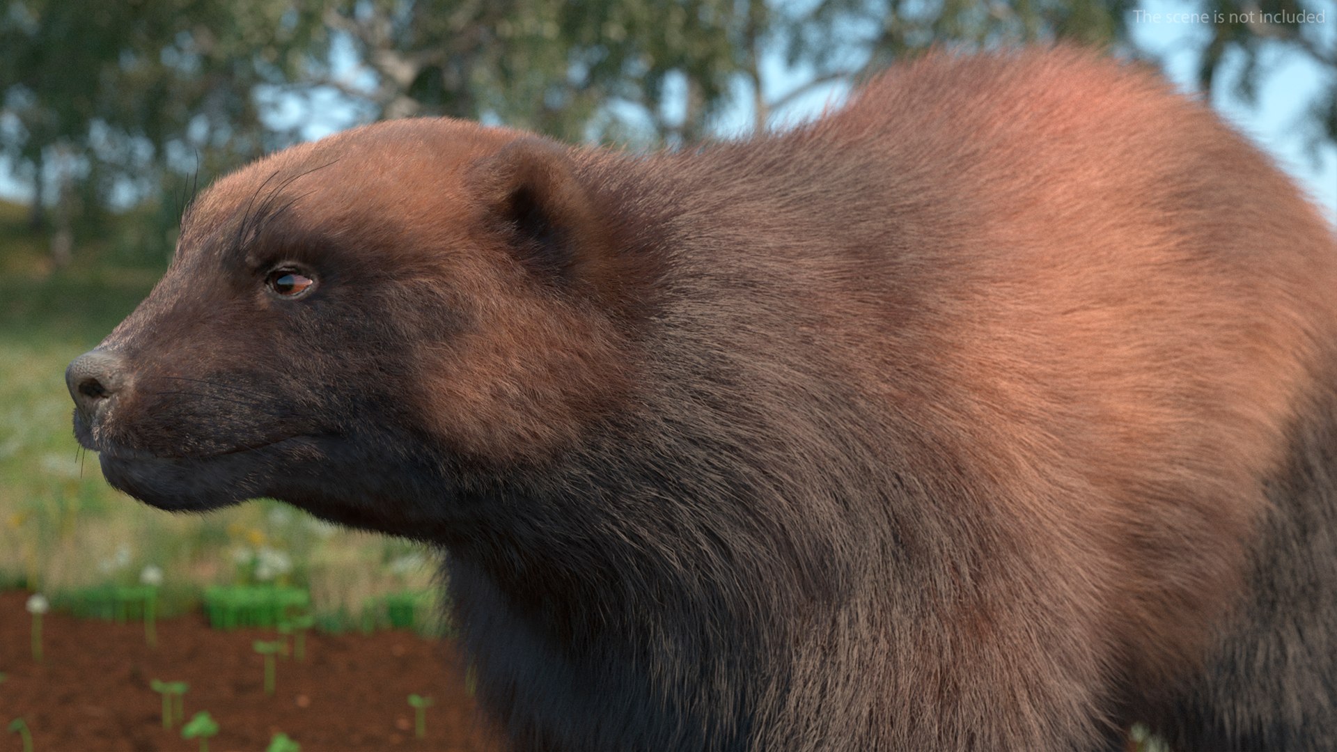 Wolverine Dark Color Walking Pose Fur 3D Model - TurboSquid 2157511