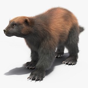 Wolverine 3D Models for Download | TurboSquid