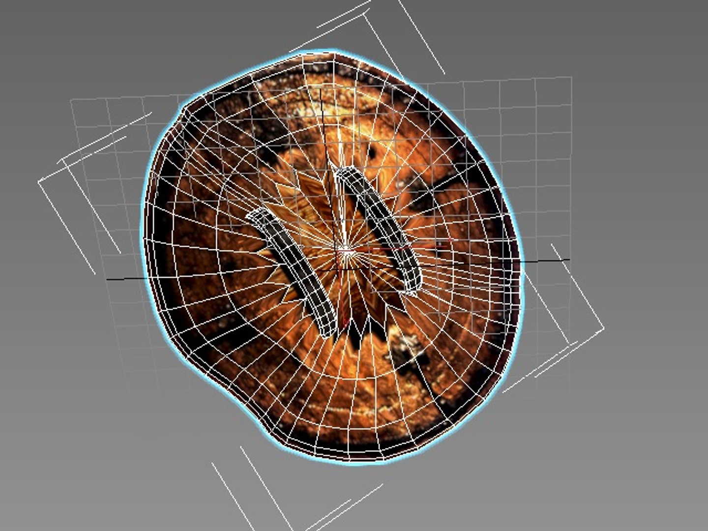 wooden shield 3d model