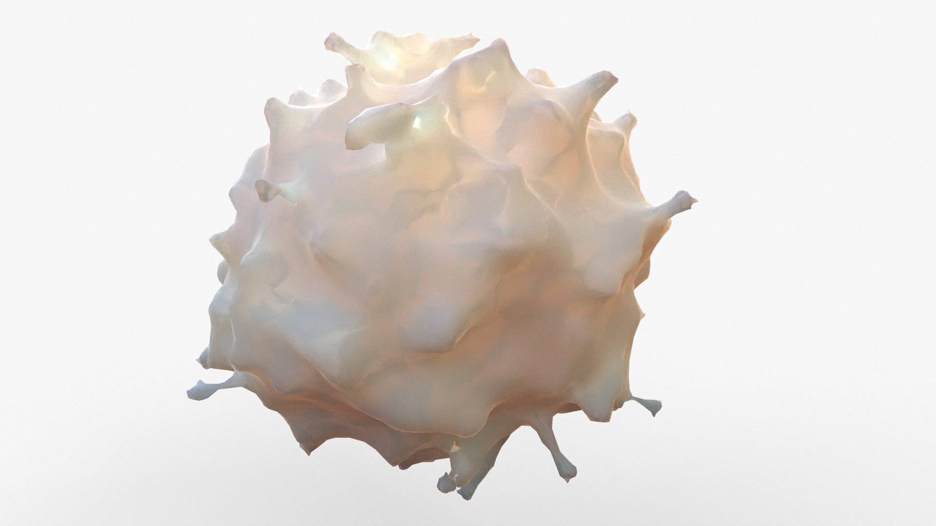 Lymphocyte Blood Cells 3D Model - TurboSquid 1672524