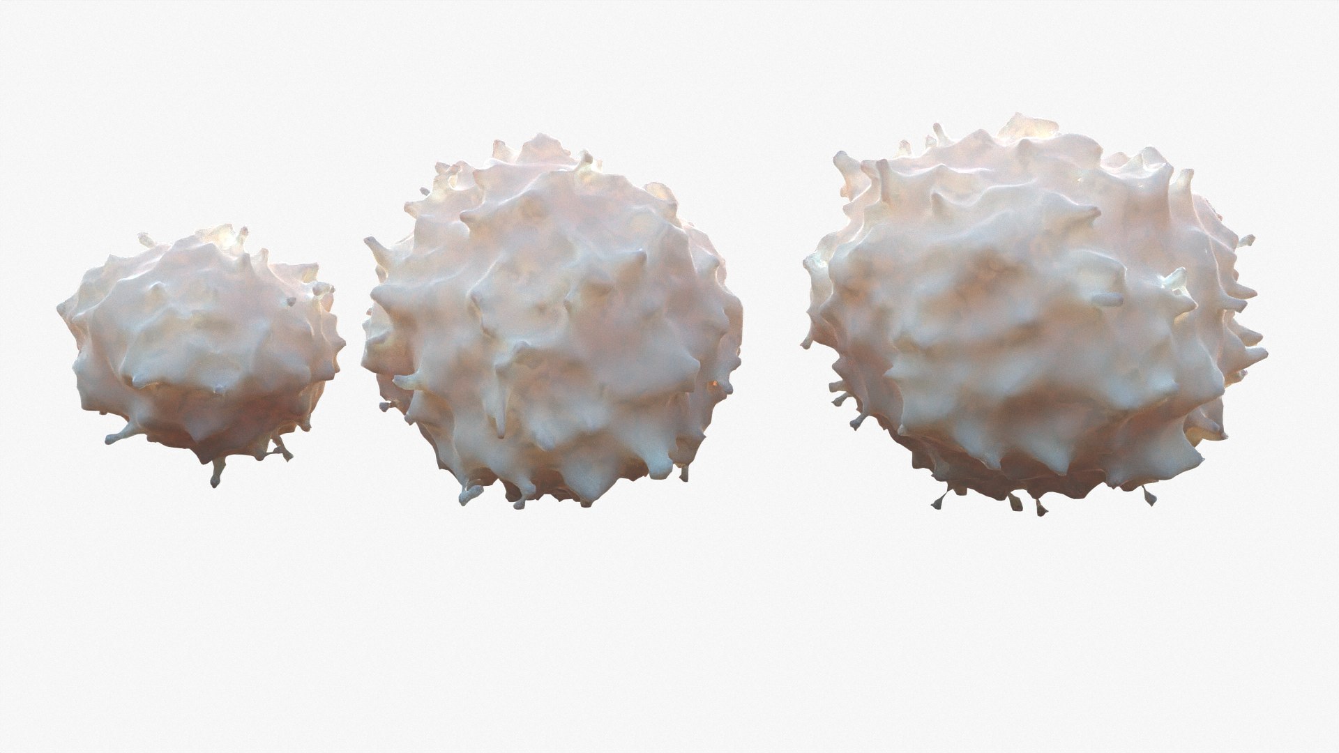 Lymphocyte Blood Cells 3D Model - TurboSquid 1672524