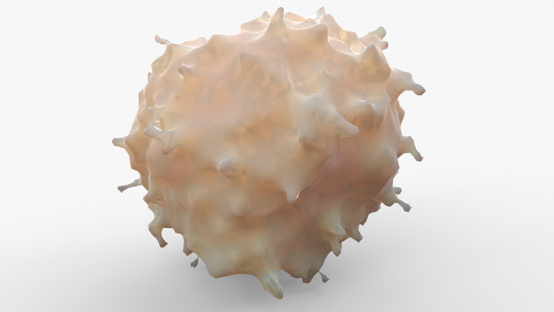Lymphocyte Blood Cells 3D Model - TurboSquid 1672524