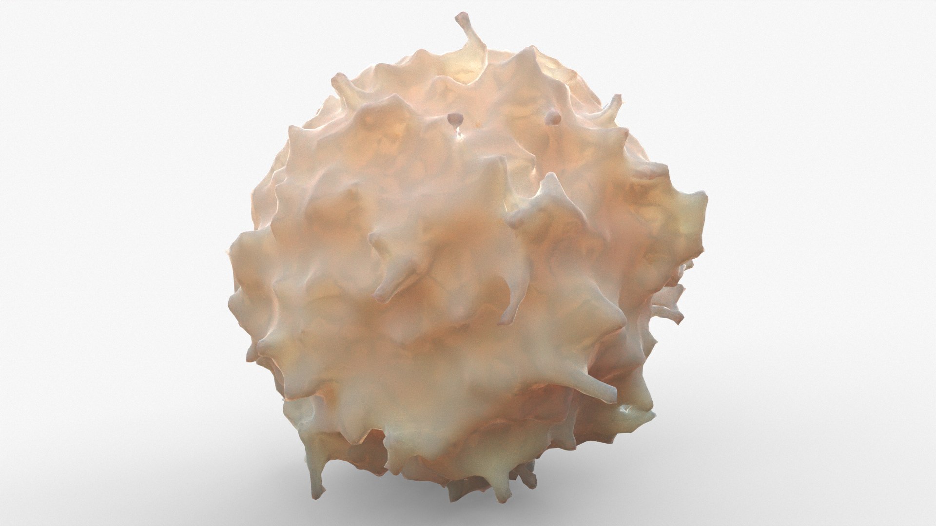 Lymphocyte Blood Cells 3D Model - TurboSquid 1672524