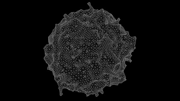 Lymphocyte blood cells 3D model - TurboSquid 1672524