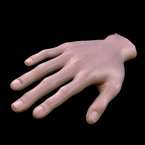 Hand 3D Models for Download | TurboSquid