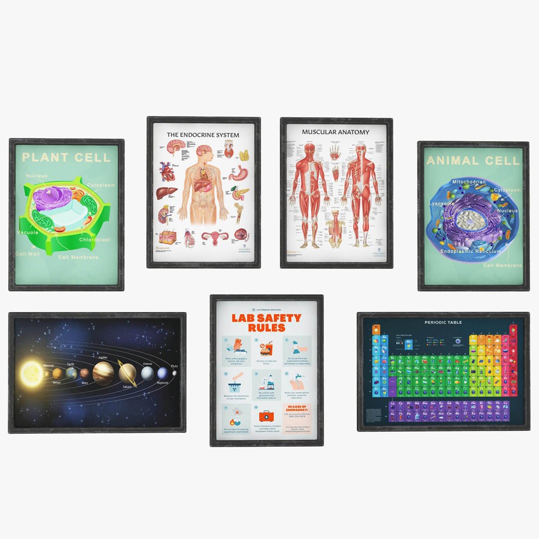 modèle 3D de Affiche de laboratoire scolaire - TurboSquid 2456656