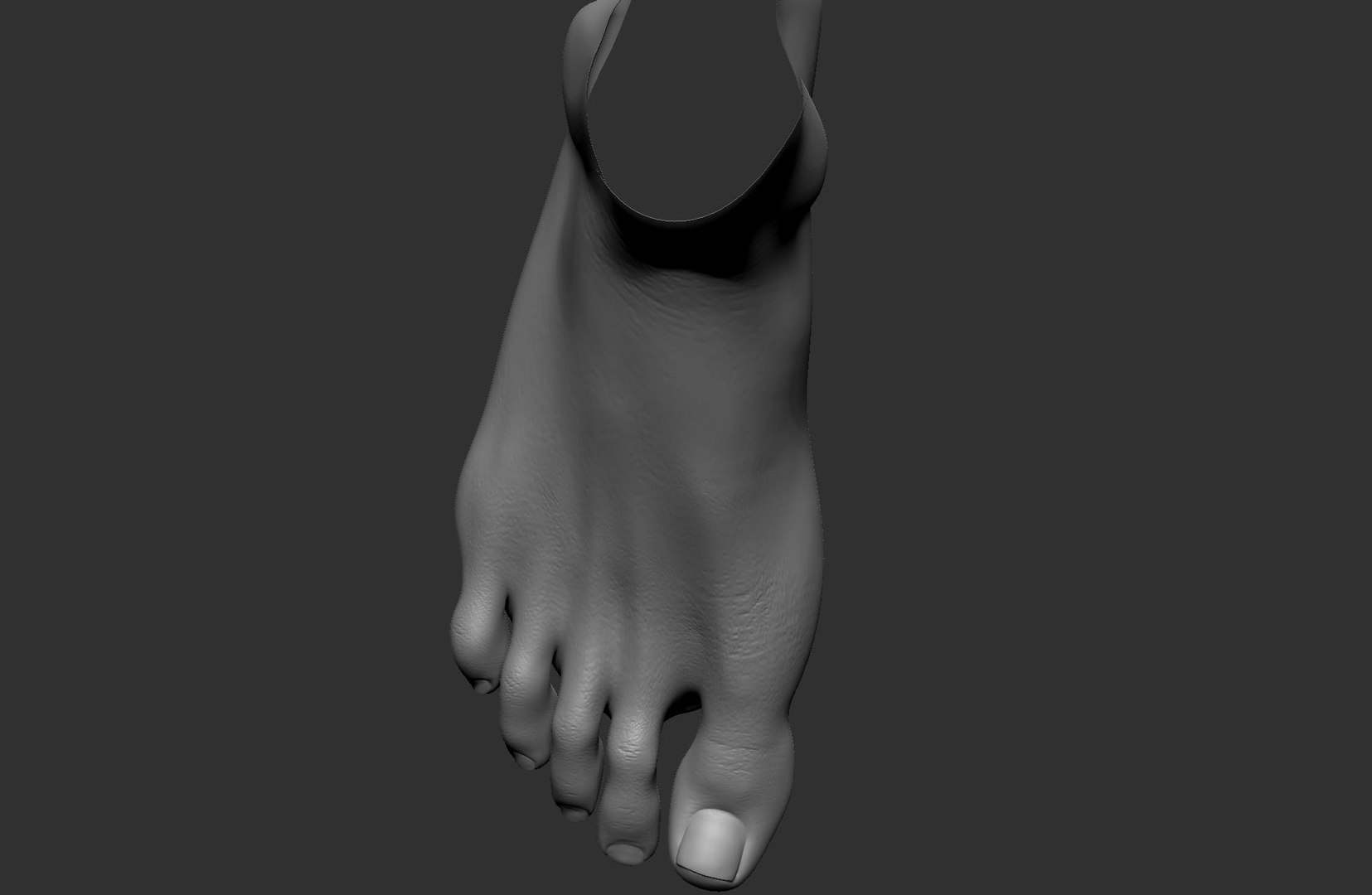 Human Foot 3D Model - TurboSquid 1513287