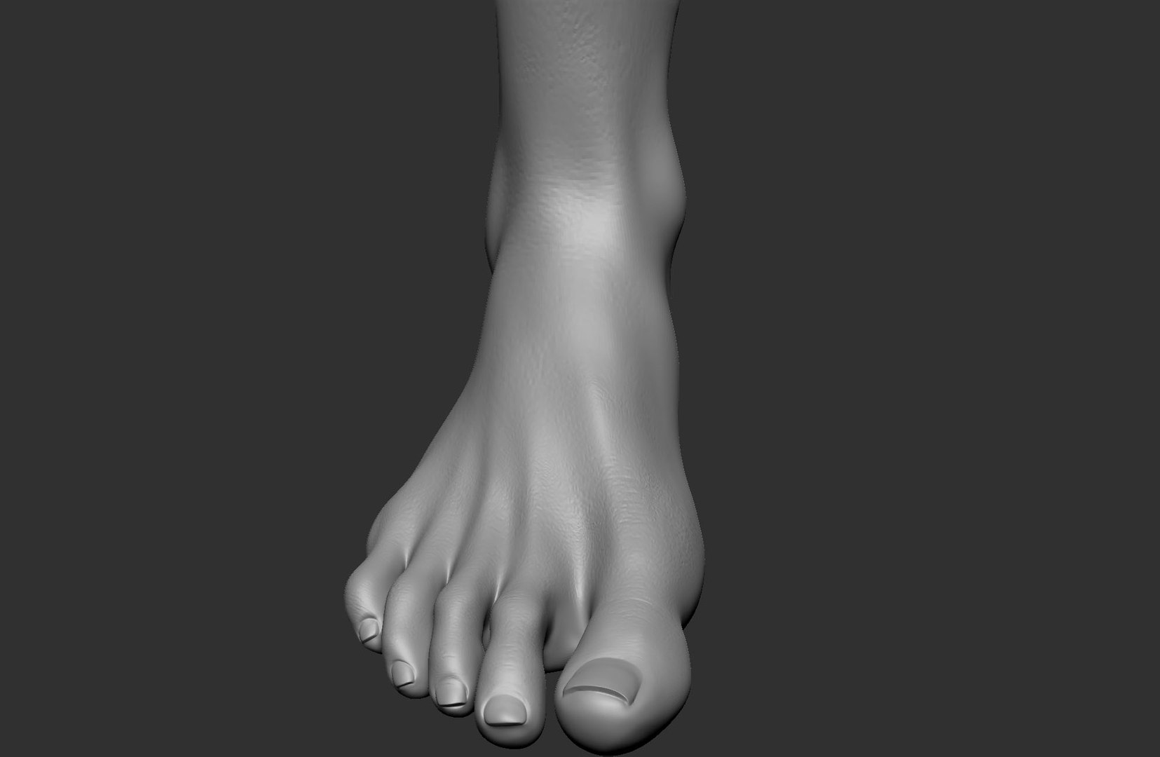 Human Foot 3D Model - TurboSquid 1513287